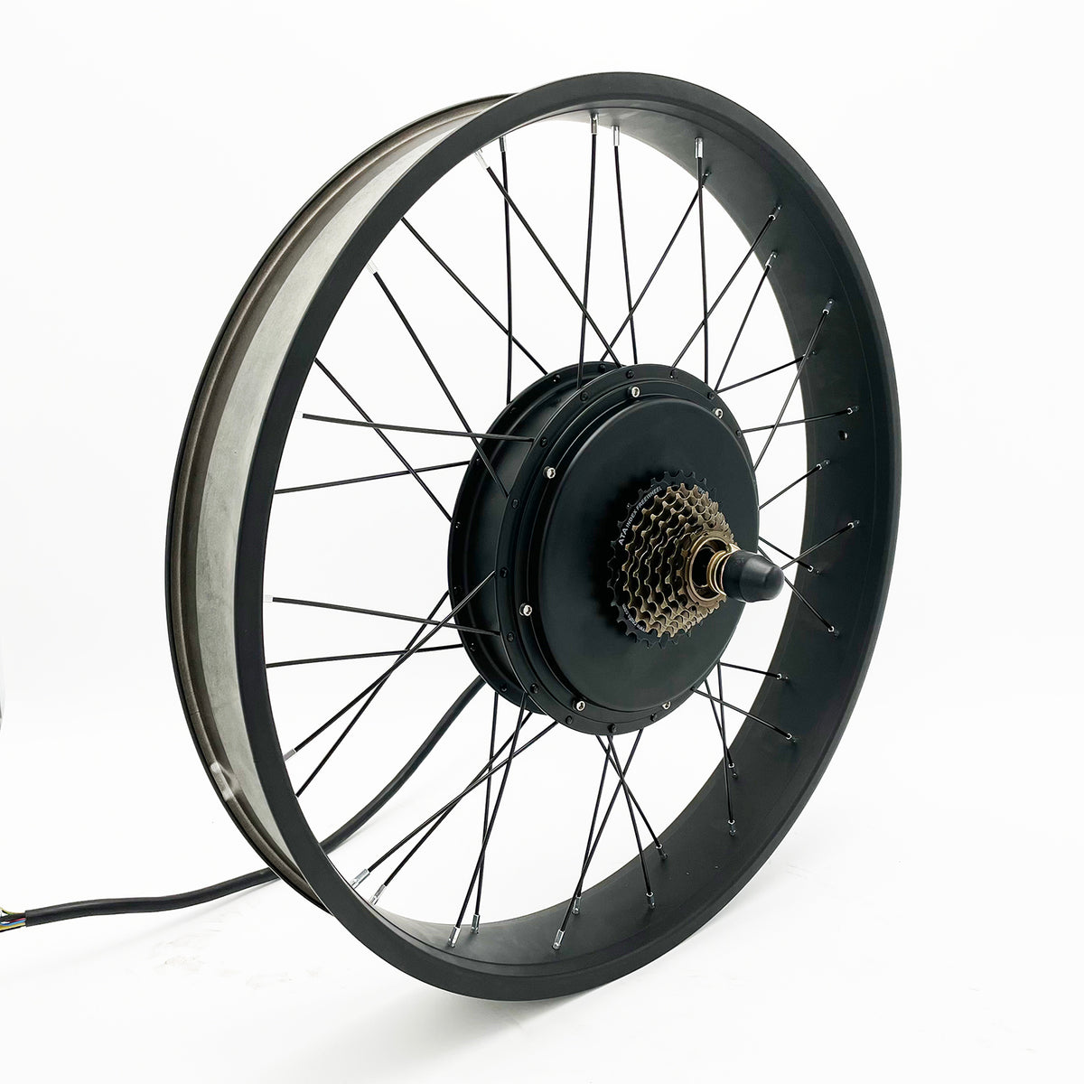 48V-72V 20/24/26x4.0" 3000W-5000W High Power Speed eBike Fat Wheel Con ...